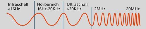 Der sonografische Frequenzbereich liegt rund 1000 mal höher im ...